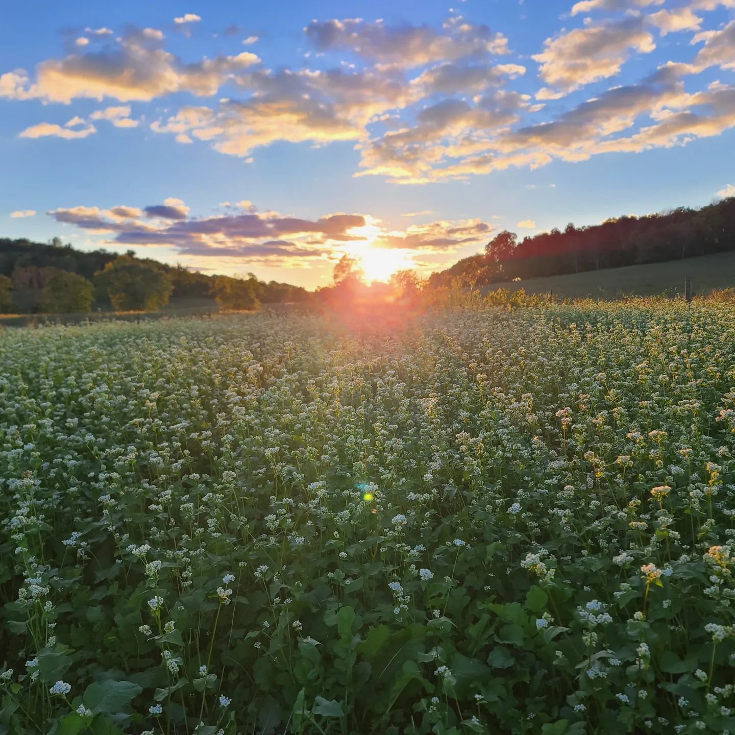 Welcome to The Farmers Land Trust - The Farmers Land Trust
